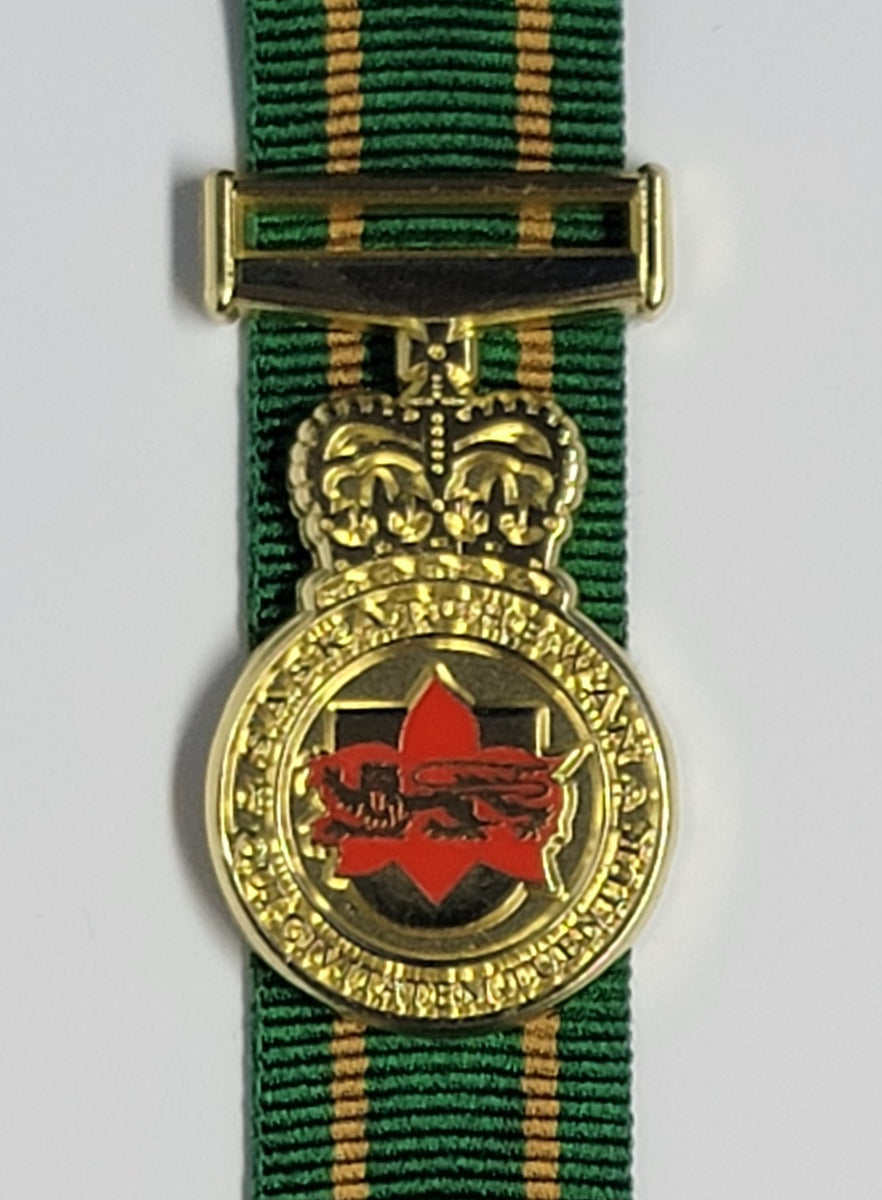 Saskatchewan Protective Services Medal – Defence Medals Canada