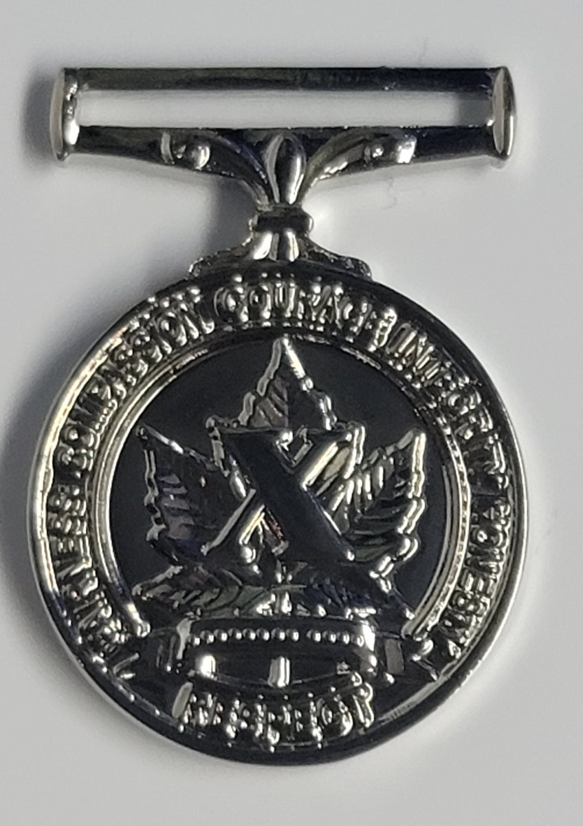 Calgary Police Medal for Distinguished Service, Miniature – Defence ...